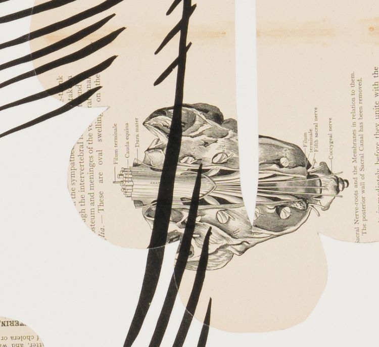 Conrad Botes | Female Anatomy | MutualArt