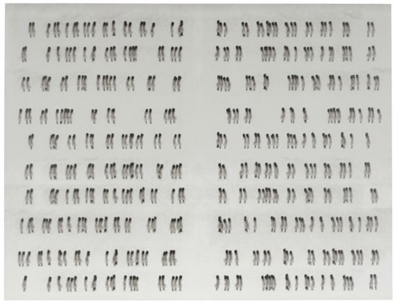 Michal Rovner | Script (2004) | MutualArt