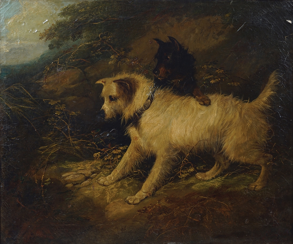 Edward Armfield | Terriers in a landscape | MutualArt