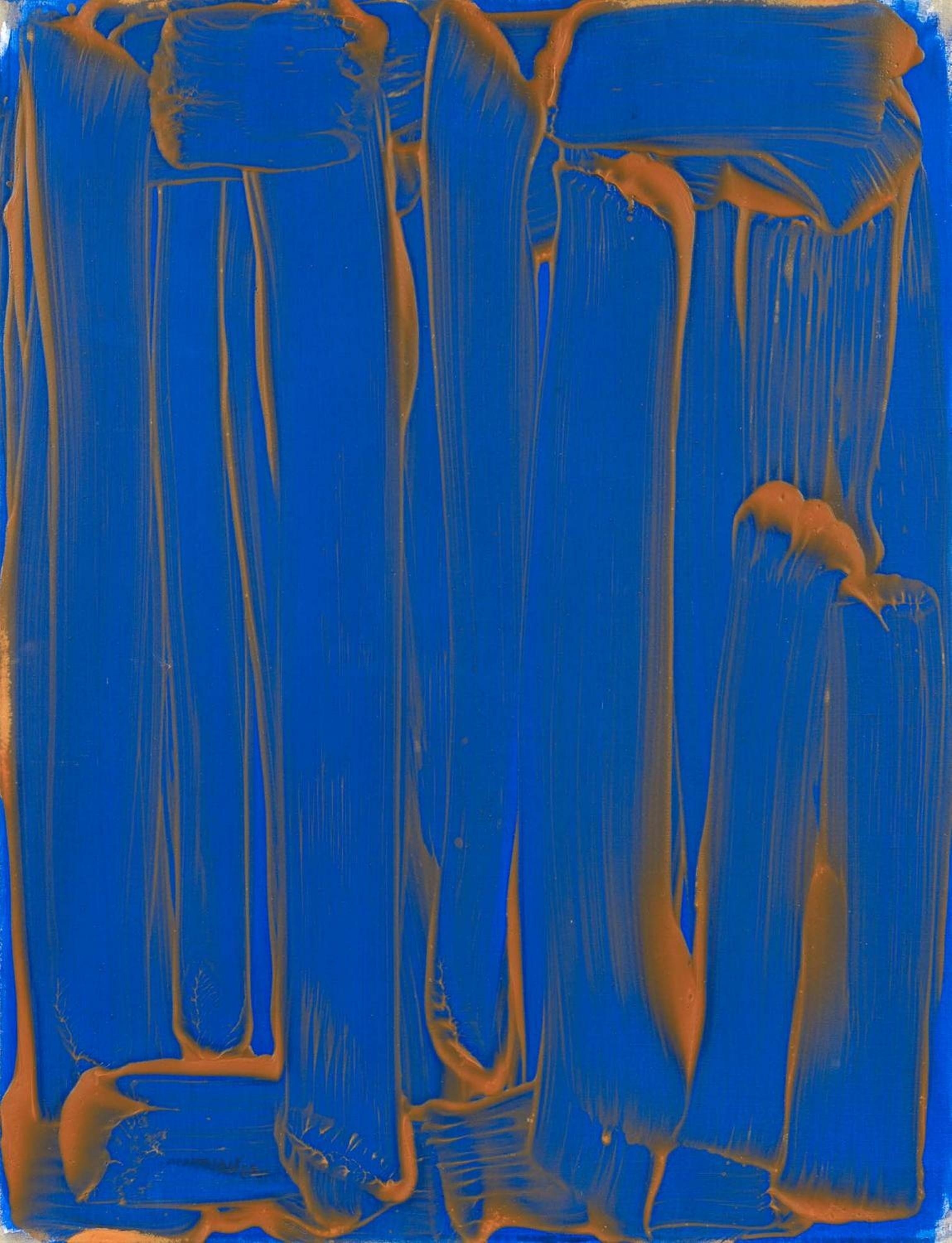 Robert Janitz | Amphibian Diapors (2014) | MutualArt