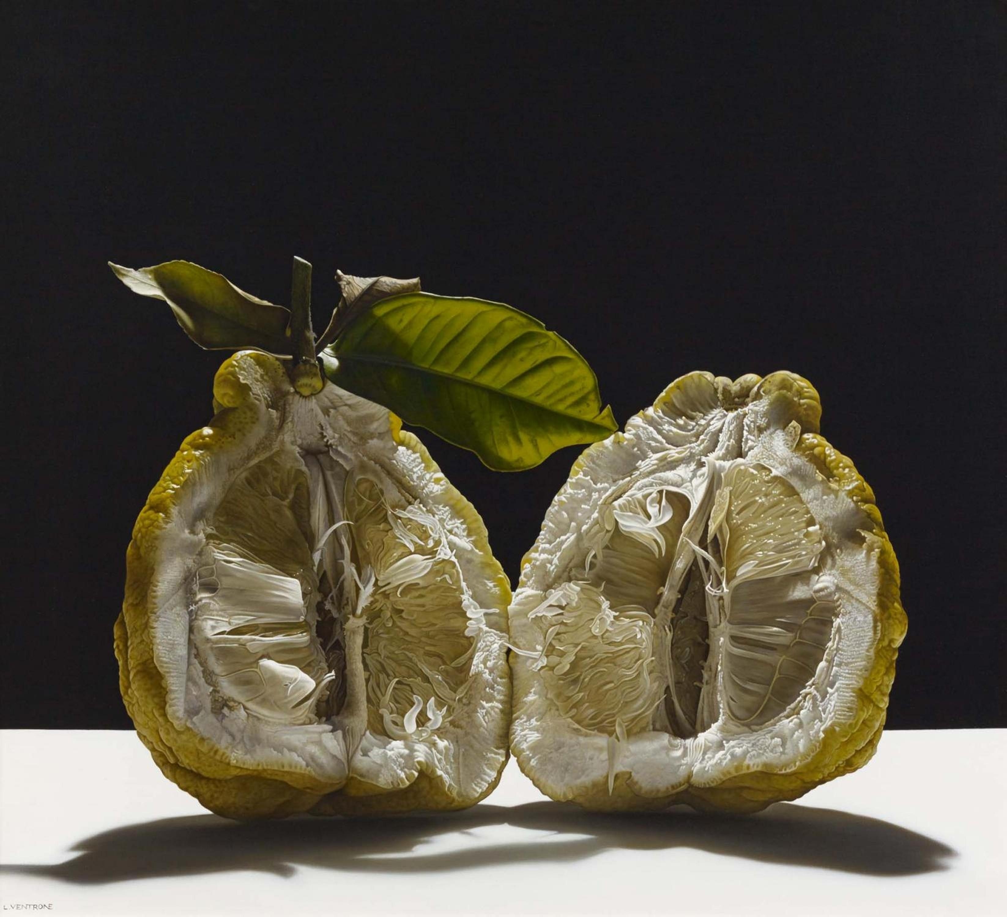 Luciano Ventrone | IL CEDRO SPACCATO | MutualArt