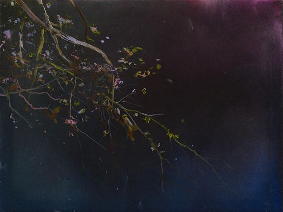 Robert Klümpen | Zweig (2010) | MutualArt