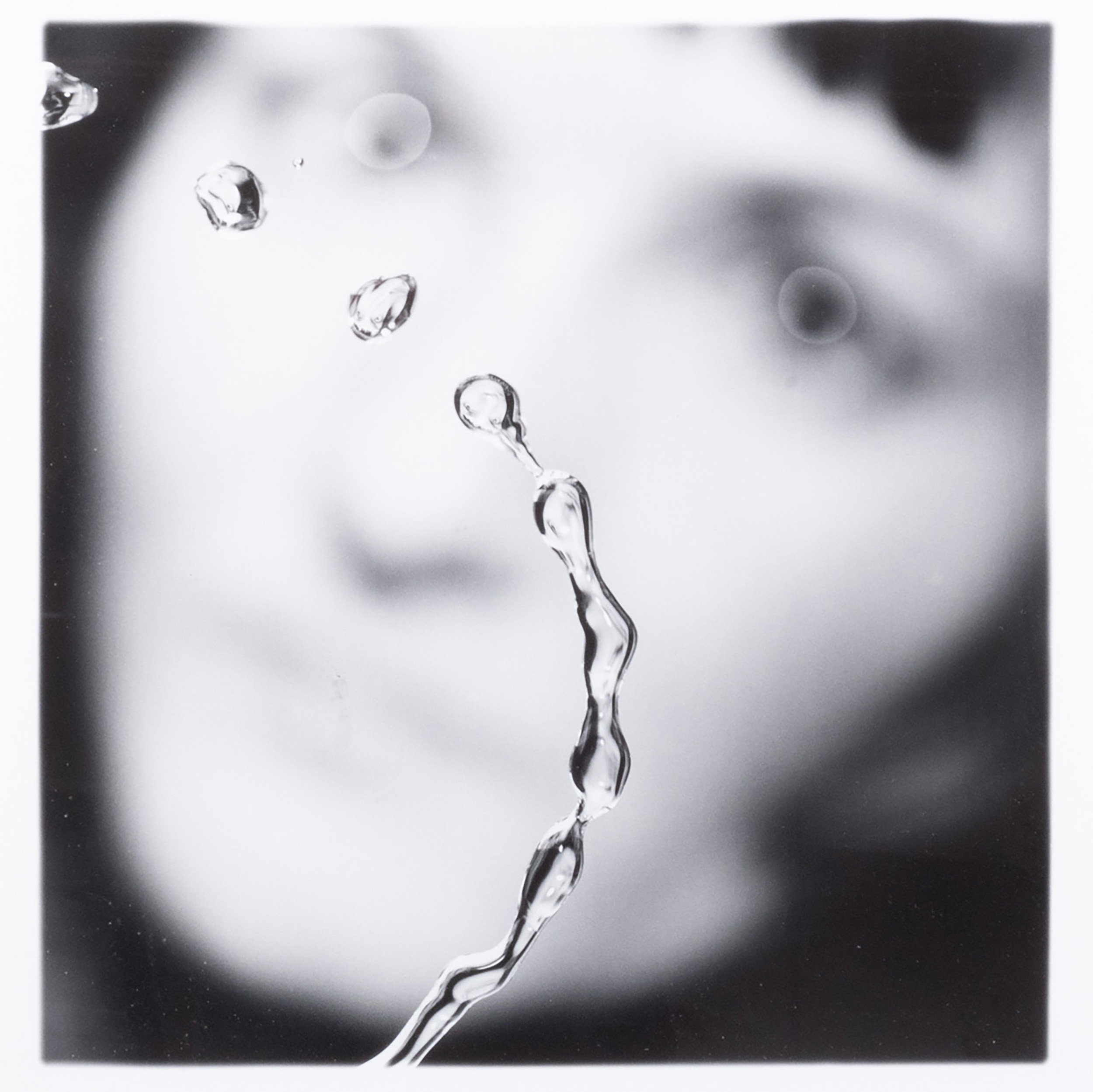 Susan Derges | Observer and Observed (1991) | MutualArt