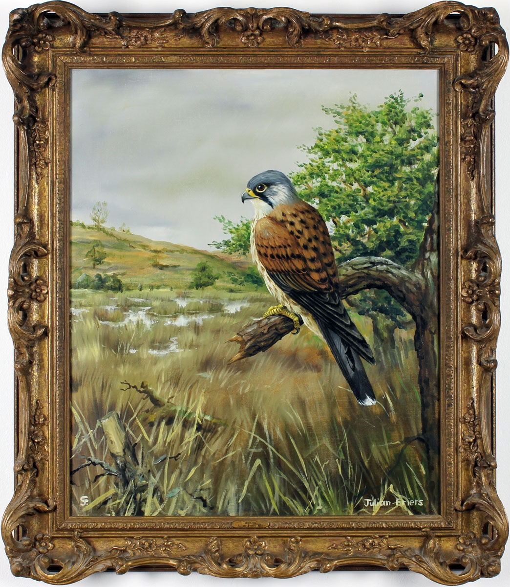 Julian Friers | PEREGRINE FALCON | MutualArt