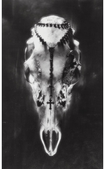 Ruth Bernhard | Skull and Rosary (1946) | MutualArt