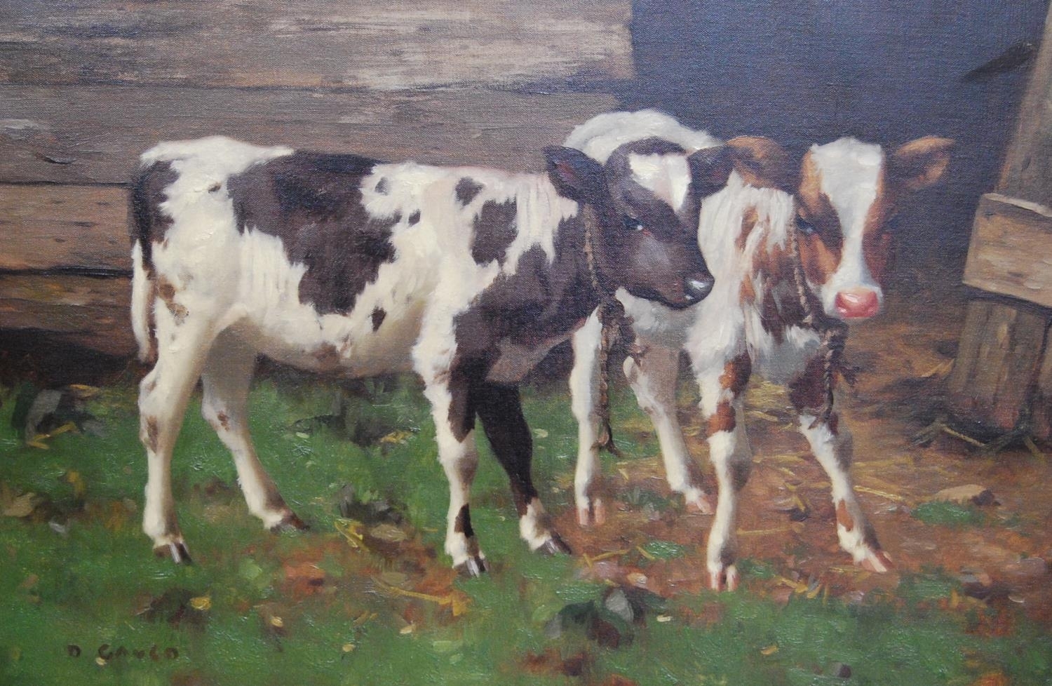 David Gauld | Calves | MutualArt