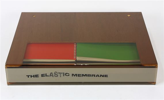 Michael Kidner | The Elastic Membrane (1979) | MutualArt