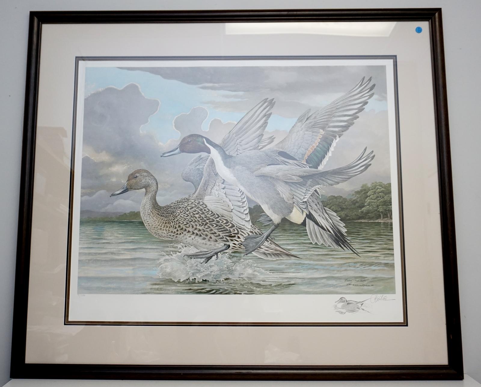 Basil Ede | Northern Pintail Ducks | MutualArt