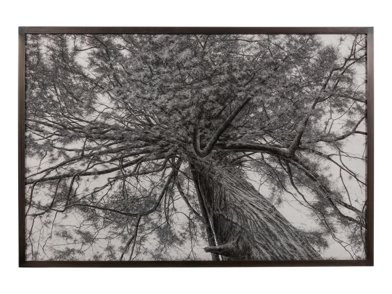 Ellen Wagener | Ellen Wagner (American b. 1962) | MutualArt