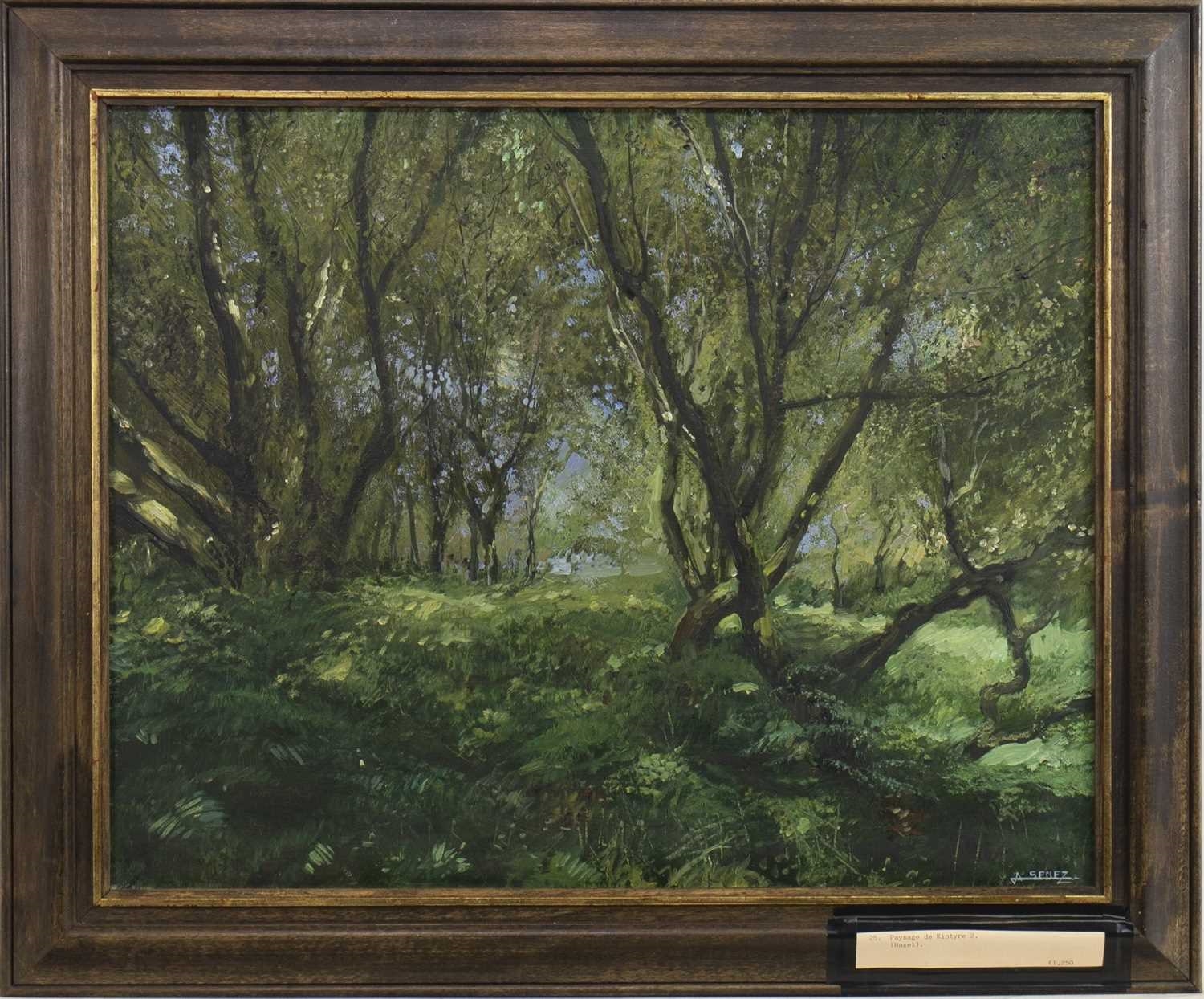 Alain Senez | PAYAGE DE KINTYRE | MutualArt