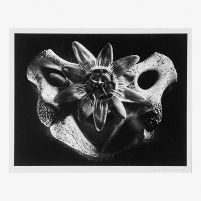 Ruth Bernhard | Bone and Passion Flower | MutualArt