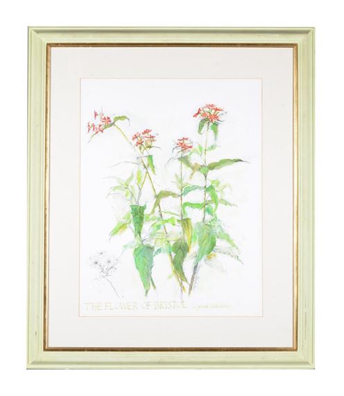 Graeme Alexander | Biography