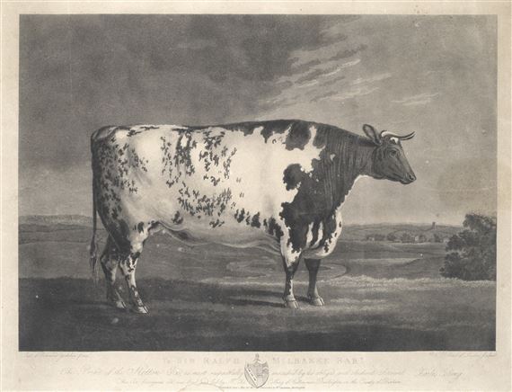 George Cuitt | The Ketton Ox | MutualArt