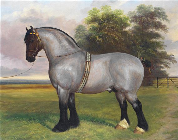 Herbert H. St. John Jones | Portrait of a heavy horse | MutualArt