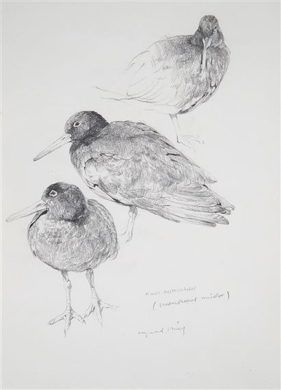 Raymond Harris Ching | 189 Artworks | MutualArt