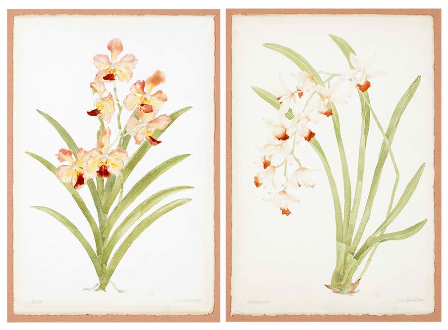 Lin Smith | Two Works: Orchids: Vanda and Cymbidium (1984) | MutualArt