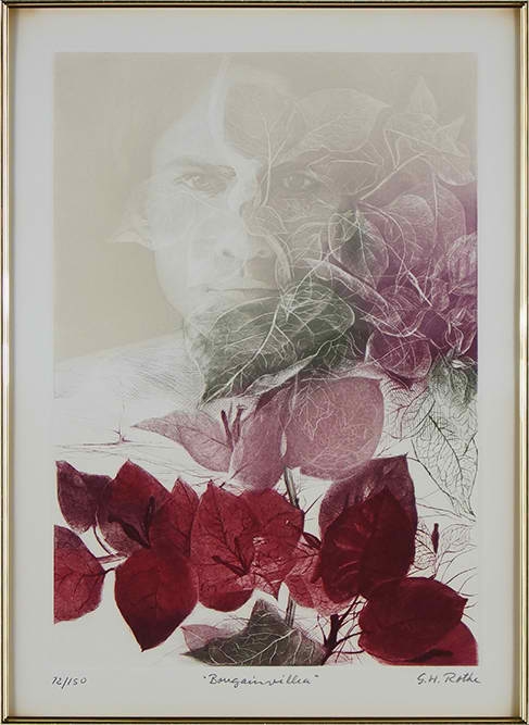 Gatja Helgart Rothe | Bougainvillea | MutualArt