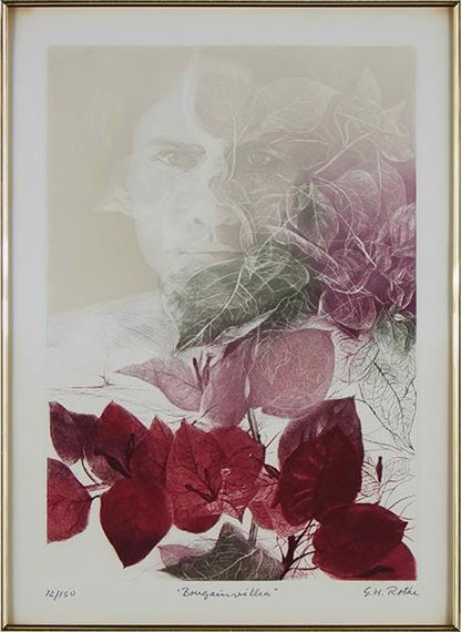 Gatja Helgart Rothe | Bougainvillea | MutualArt