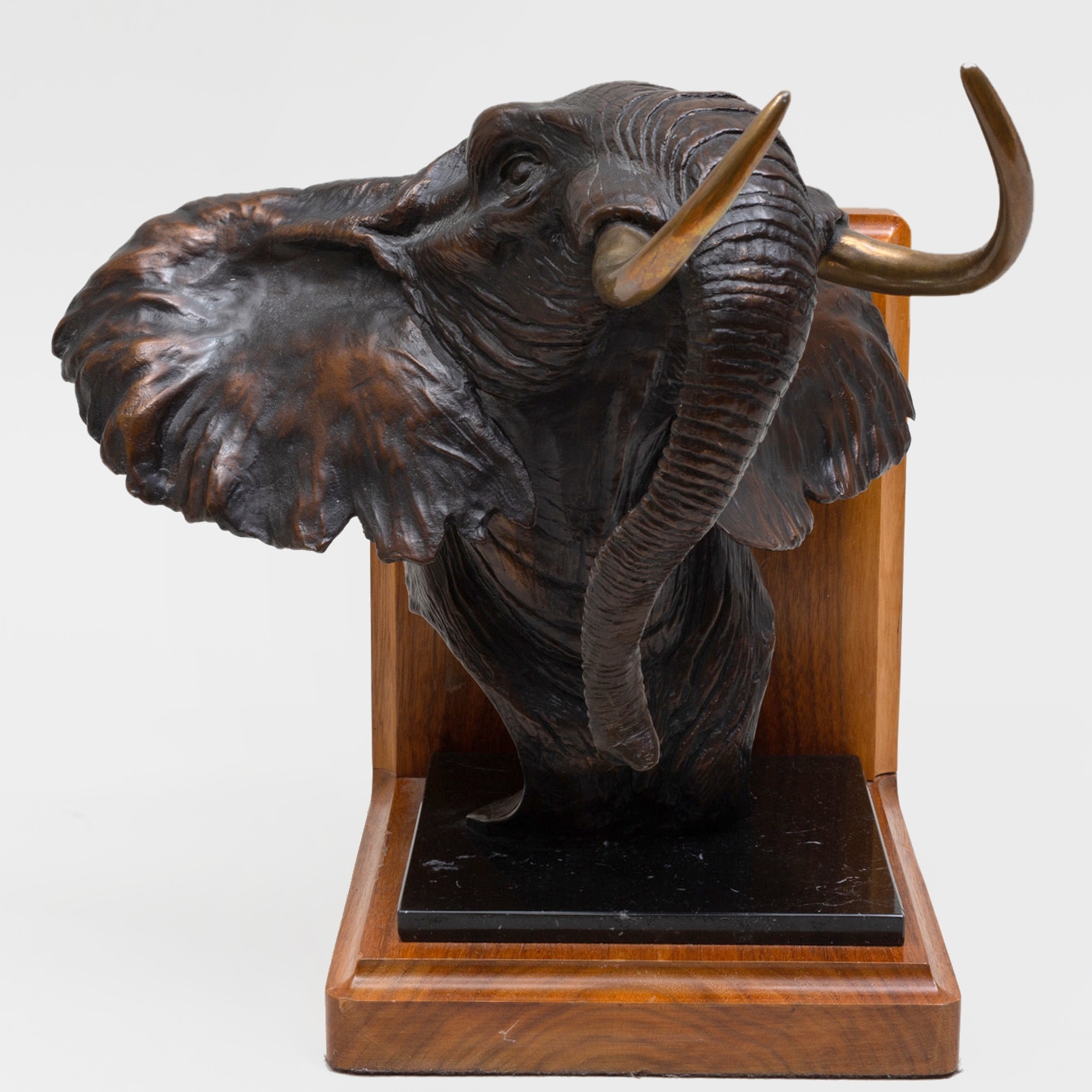David Schaefer | Elephant | MutualArt