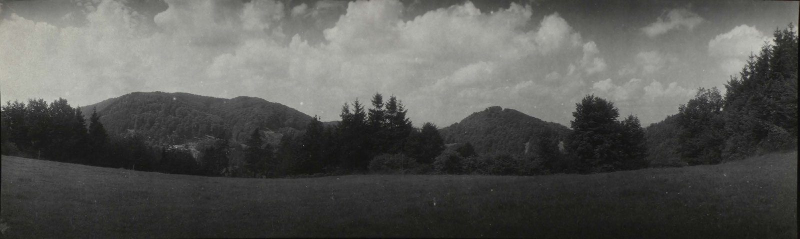 Josef Sudek | Sans titre. La forêt de Mionsi 13ème version | MutualArt