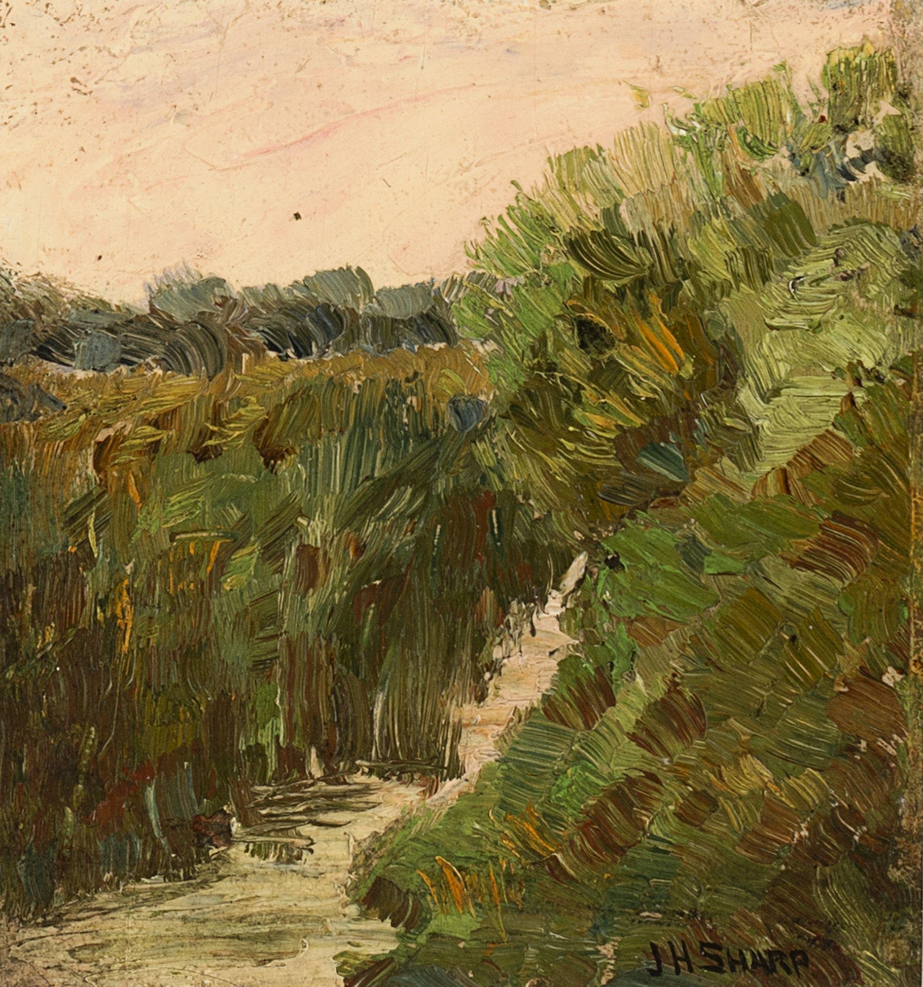 Joseph Henry Sharp | Angela Sun Goes Slow | MutualArt
