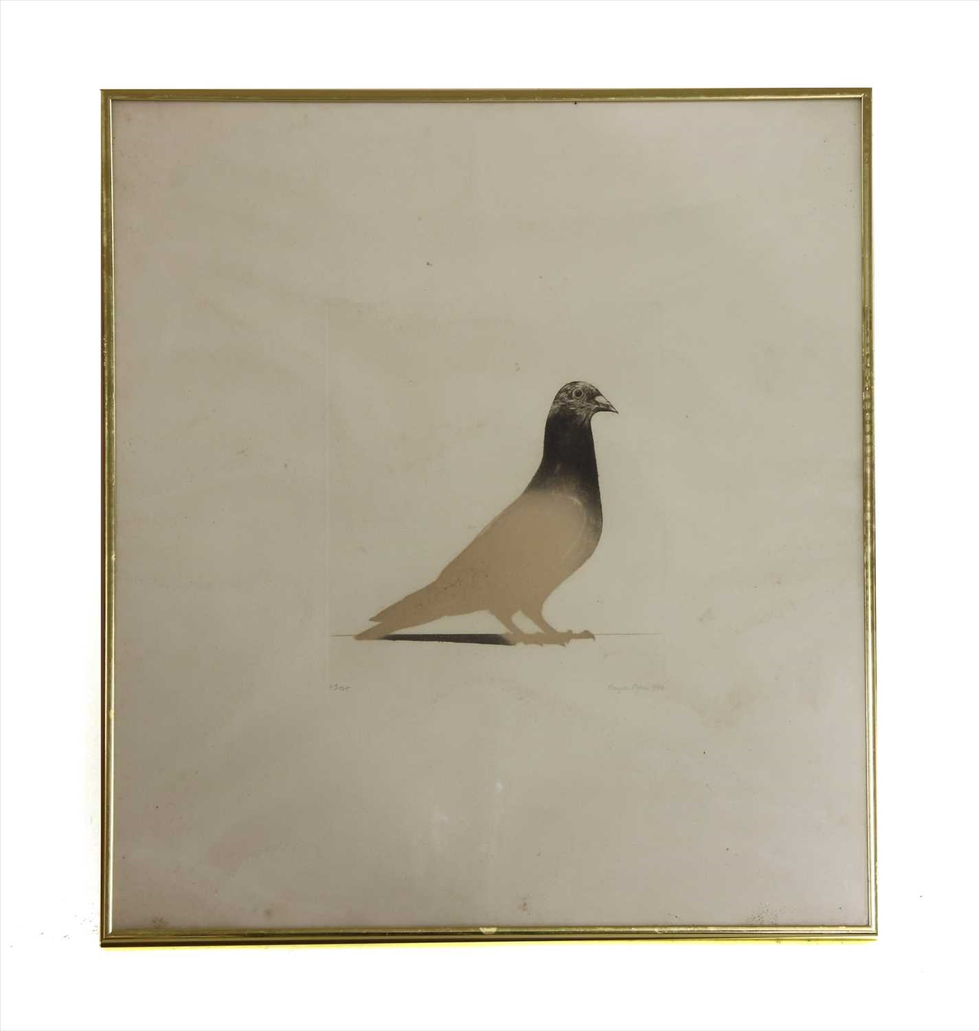 Bryan Organ | PIGEON (1976) | MutualArt