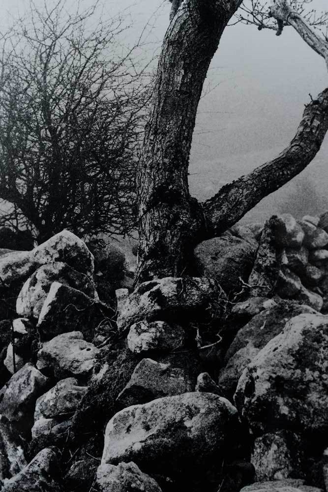 Fergus Bourke | Two landscape photos: Storm Clouds Over the Bens ...
