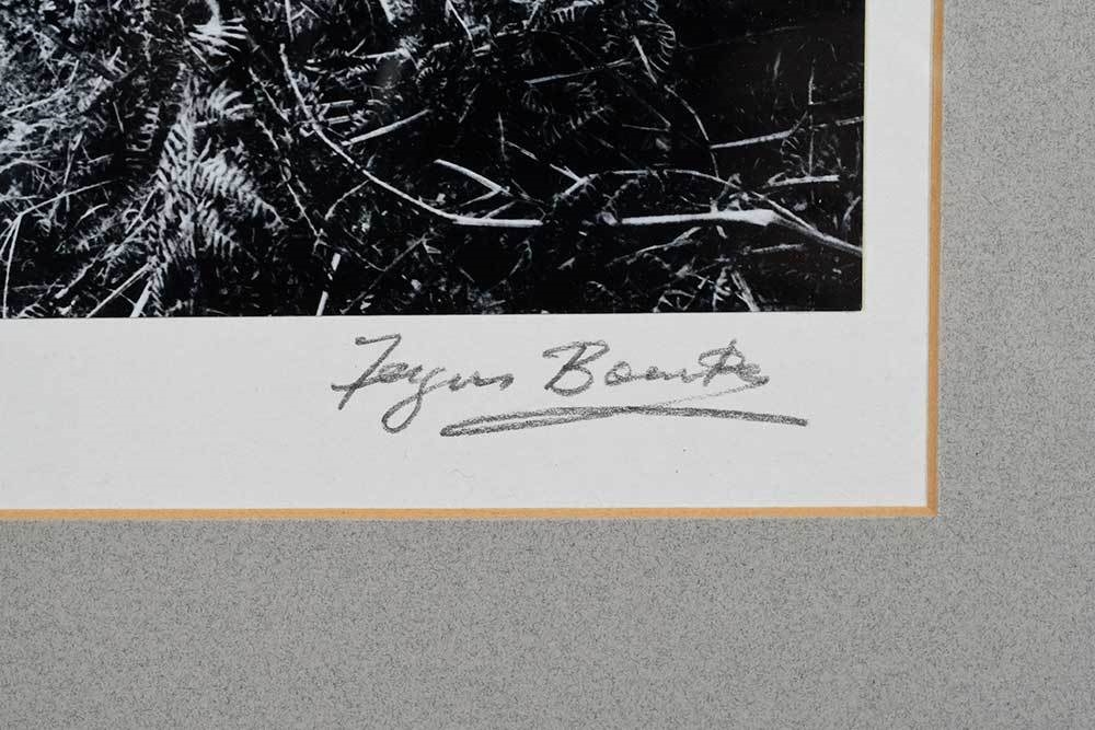 Fergus Bourke | Two landscape photos: Storm Clouds Over the Bens ...