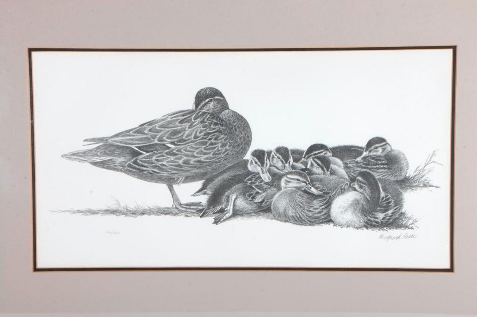 Maynard Reece | Brood of ducks | MutualArt