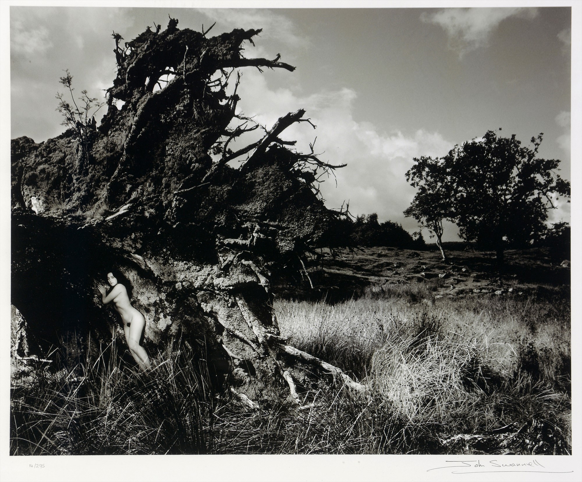 John Swannell | Becky in Uprooted Tree (1984) | MutualArt