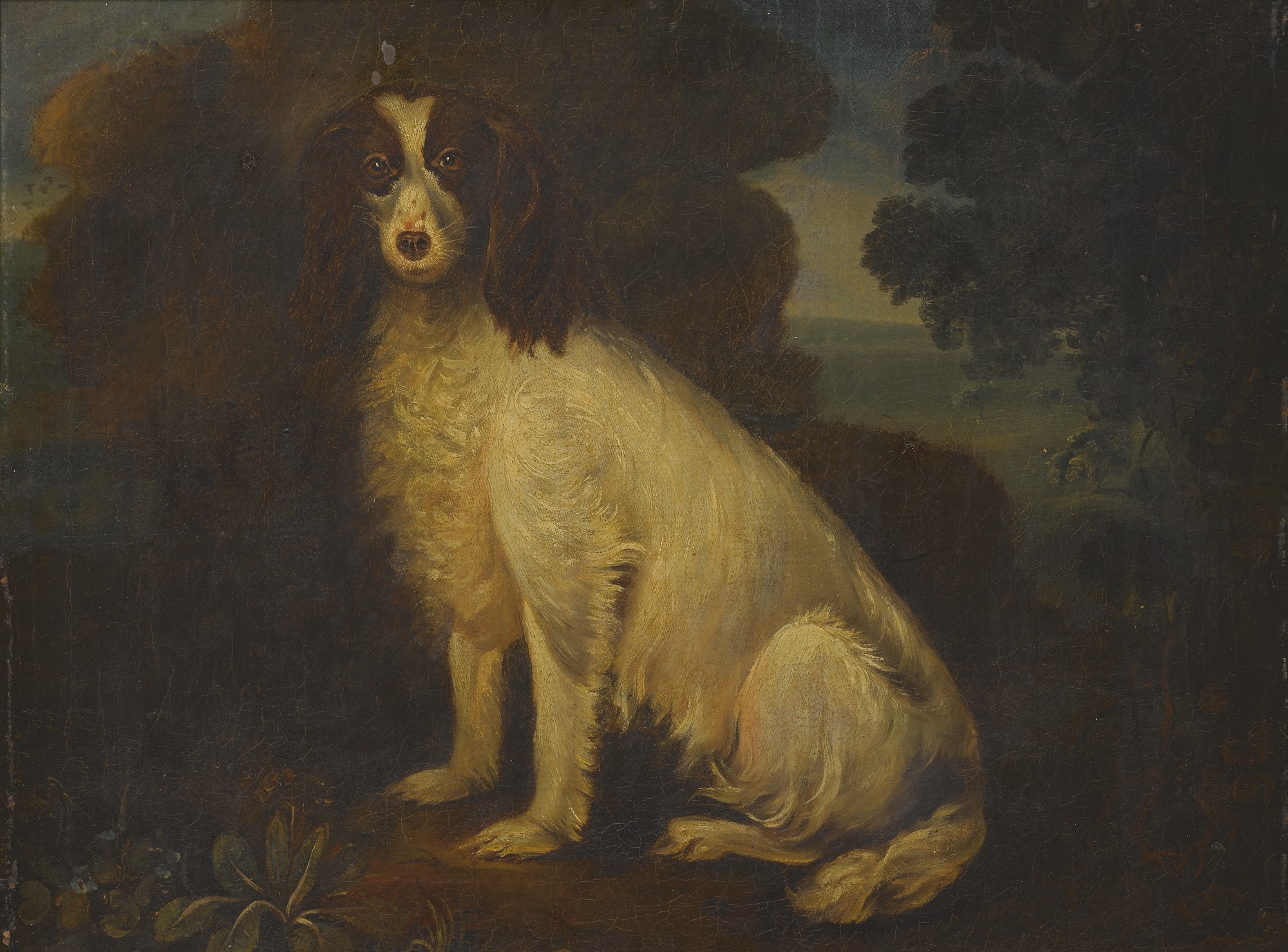 George Stubbs | SPANIEL IN A LANDSCAPE | MutualArt