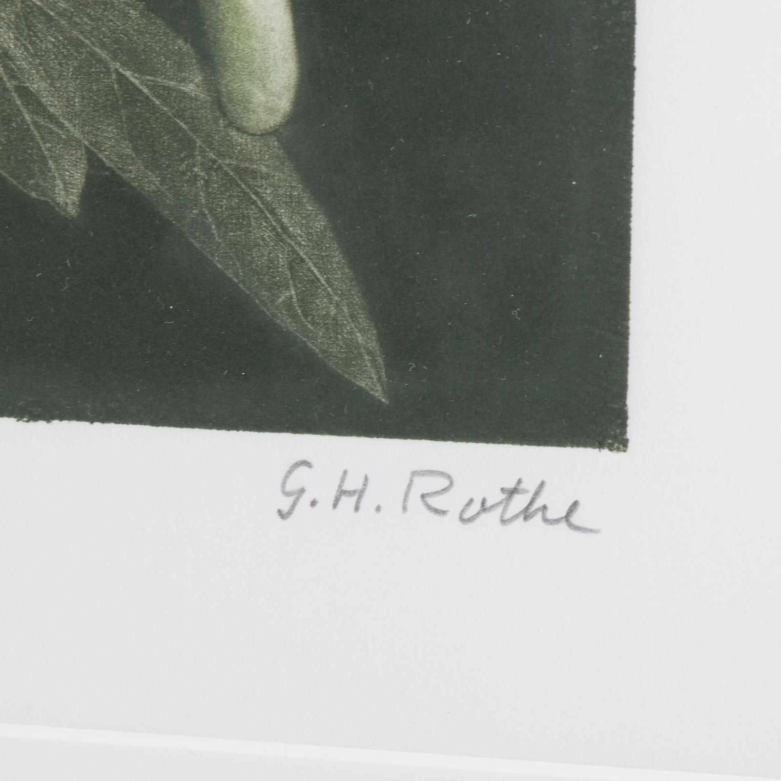 Gatja Helgart Rothe | Daphne Transformation | MutualArt