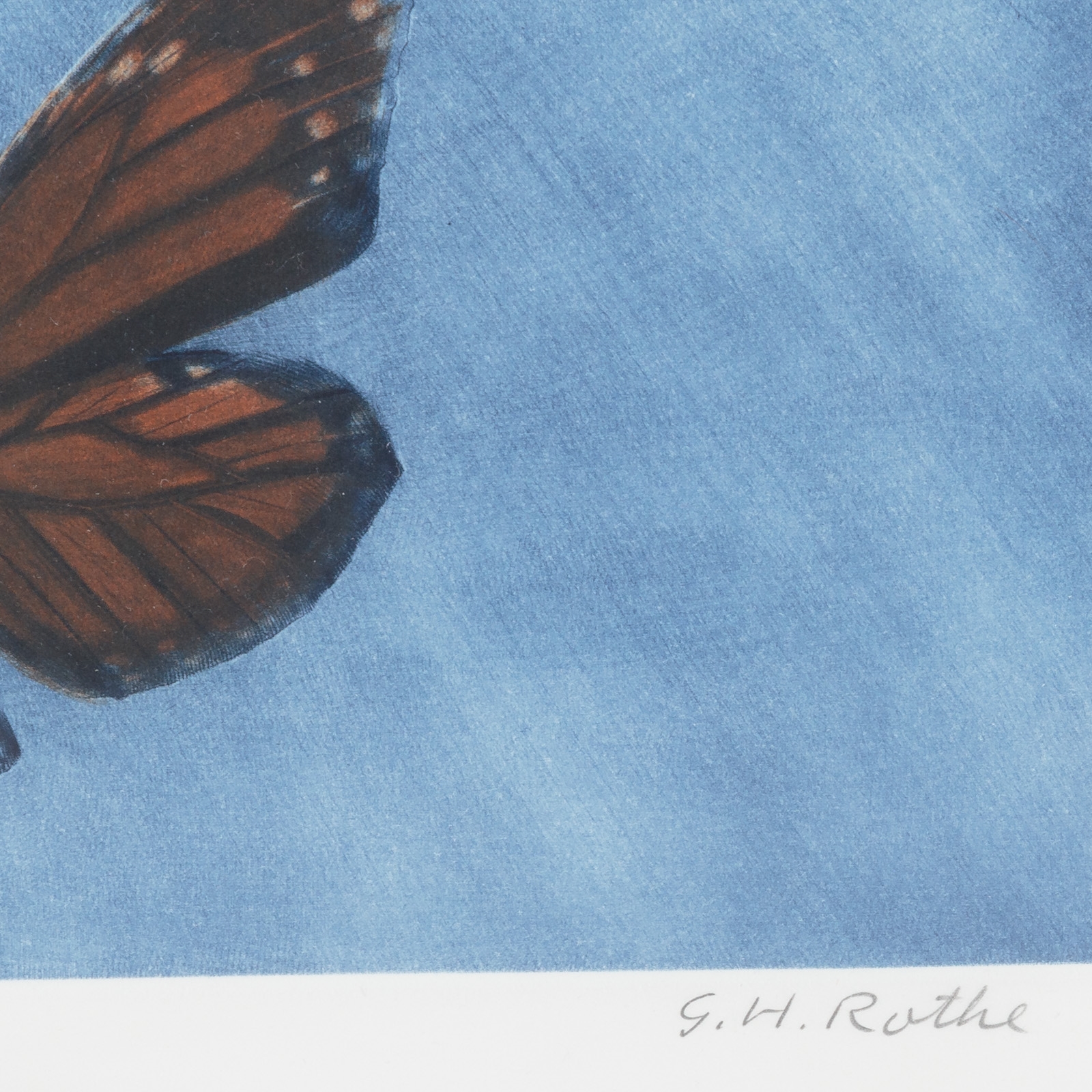 Gatja Helgart Rothe | Monarch's Journey | MutualArt