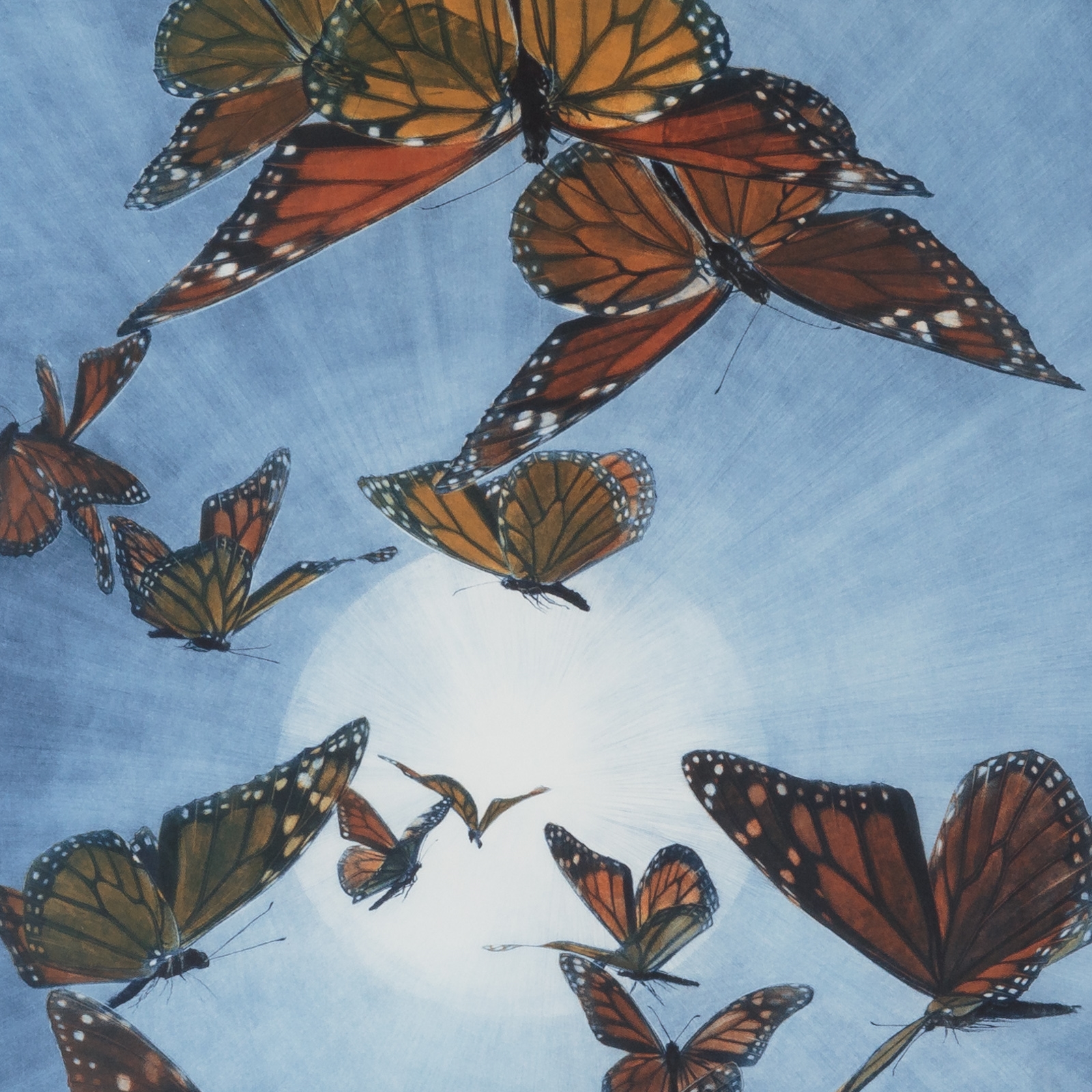 Gatja Helgart Rothe | Monarch's Journey | MutualArt