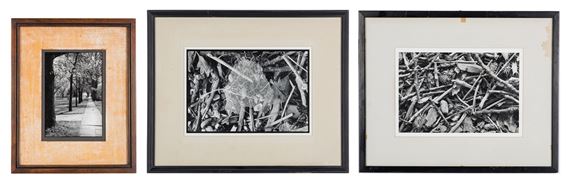 John Stuart Ingle | 7 Artworks | MutualArt