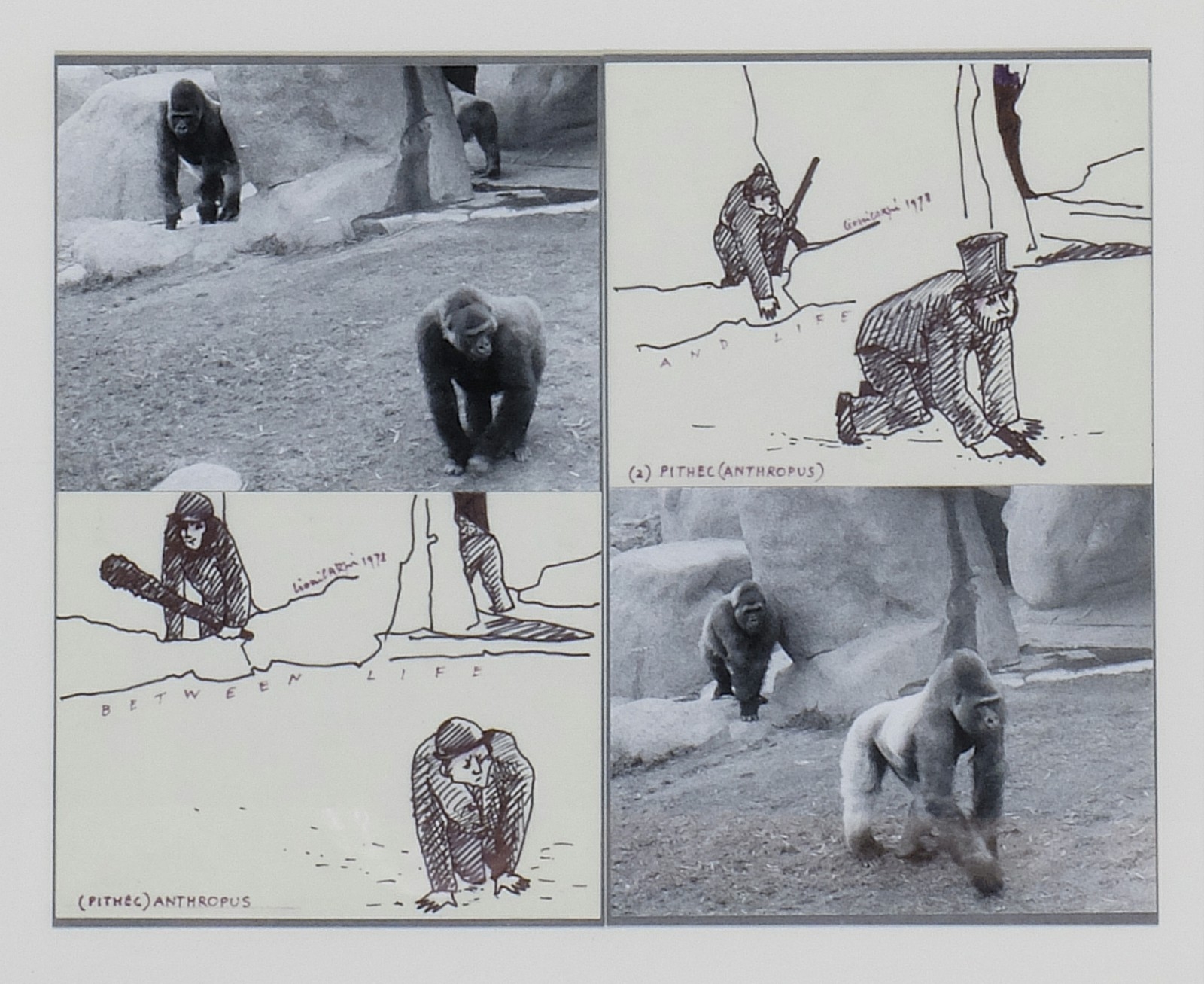 Cioni Carpi | Pithec Anthropus (1978) | MutualArt