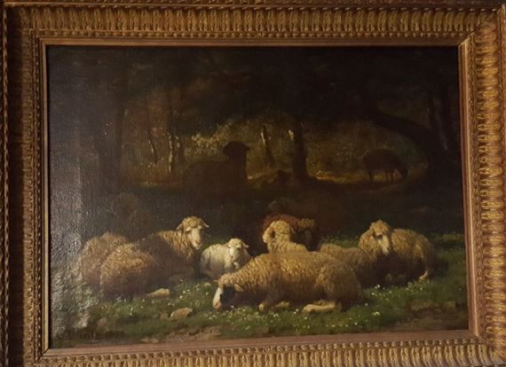 William Wintz | sheep | MutualArt