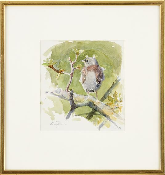 Lars Jonsson | Björktrast på gren | MutualArt