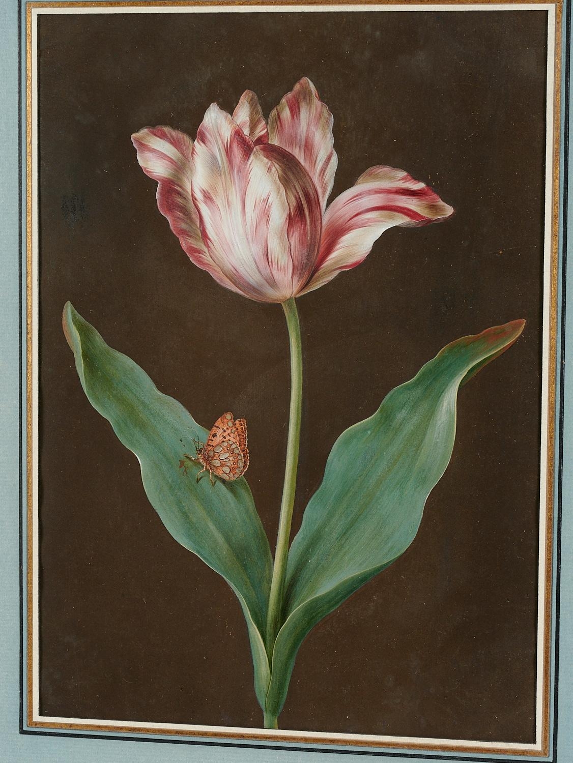 Barbara Regina Dietzsch | Tulip with Insects | MutualArt
