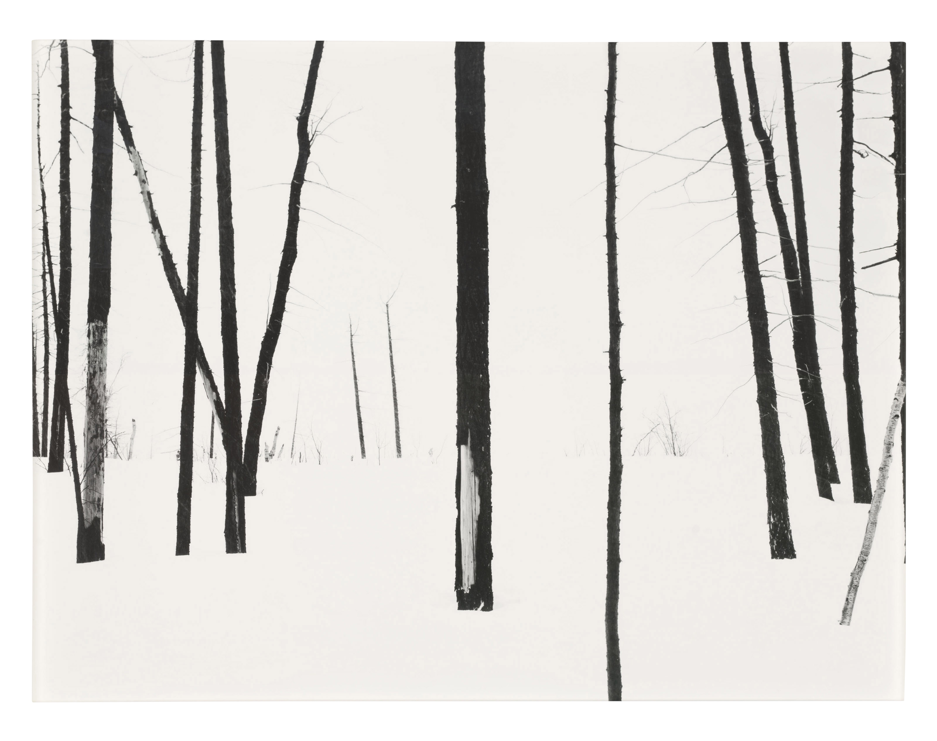 Darren Almond | 69th Parallel 4 | MutualArt