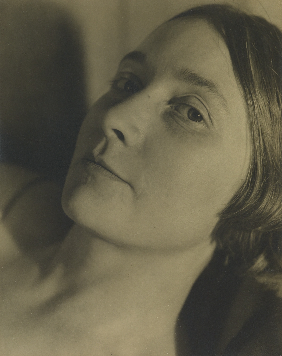 Consuelo Kanaga | Untitled (Ice-covered tree) (Circa 1930) | MutualArt