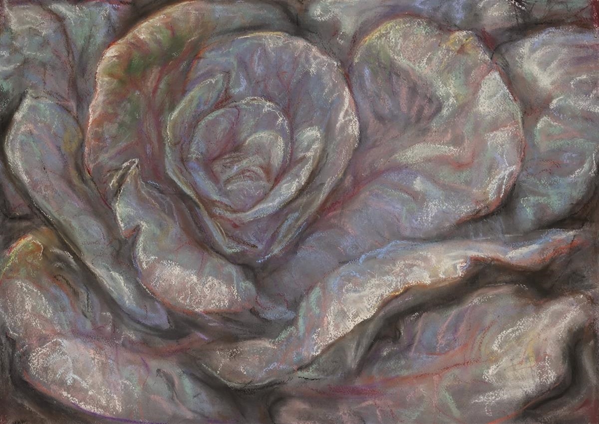 Janet Dawson | Cabbage Series (1990 - 1995) | MutualArt