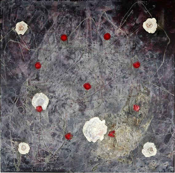 Rob de Graaf | Biography