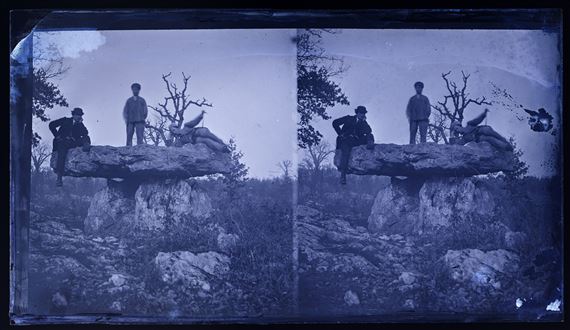 Anna Neimark: Rude Forms Among Us | Exhibitions | MutualArt