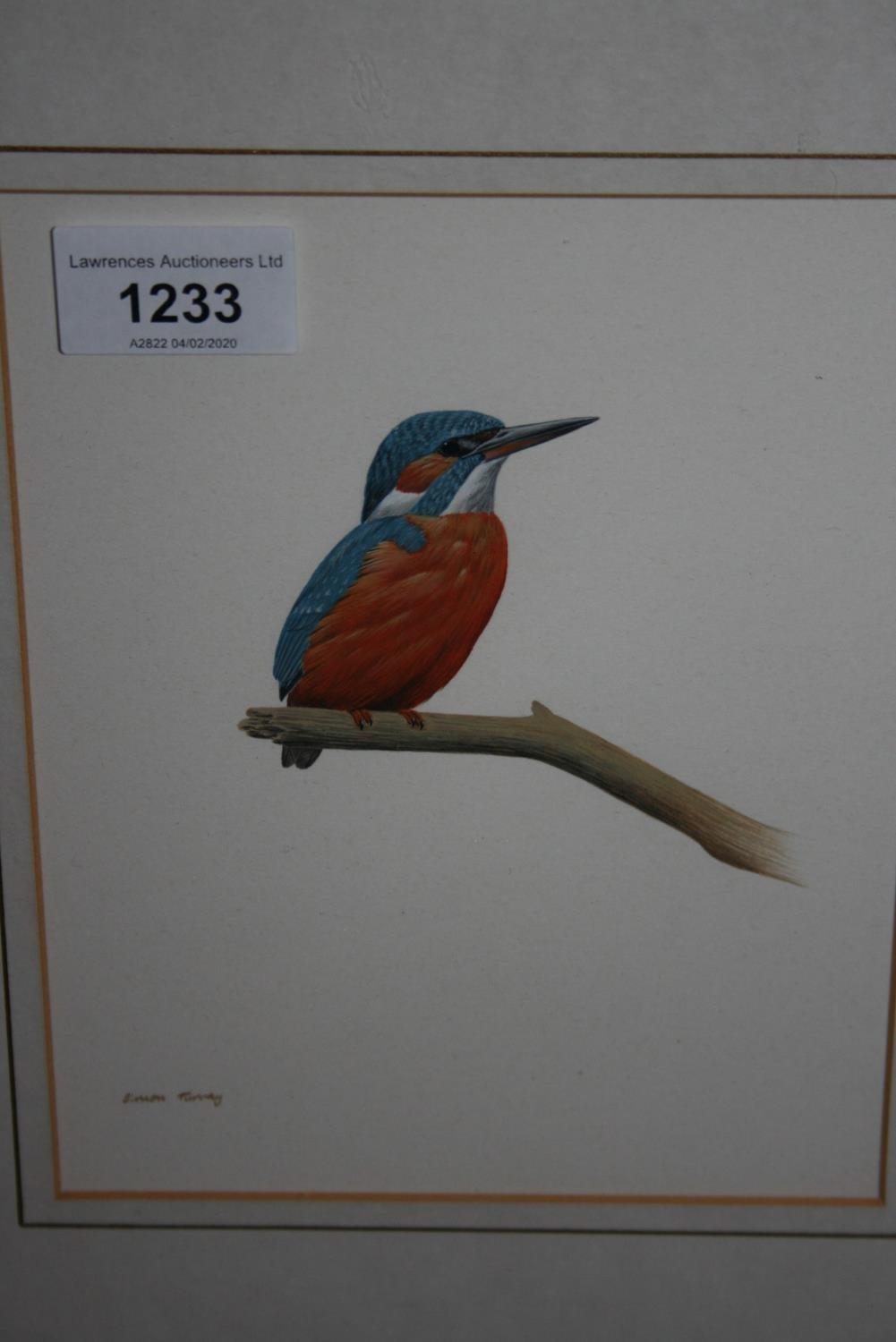 Simon Turvey | Studies of a kingfisher and a finch | MutualArt