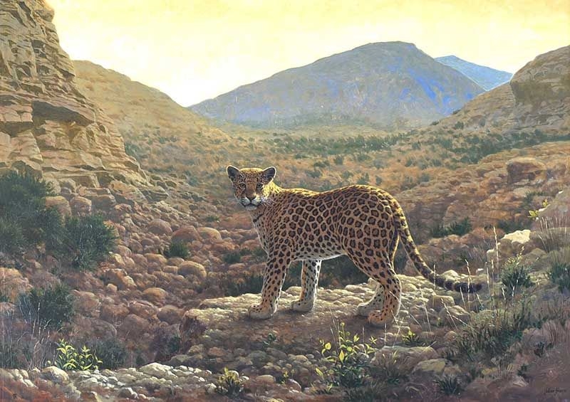Julian Friers | LEOPARD ON A MOUNTAIN HILLSIDE | MutualArt