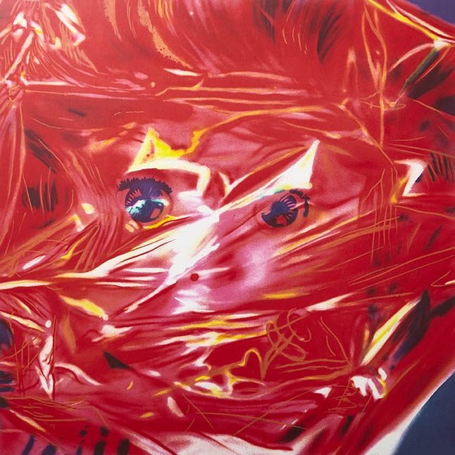James Rosenquist | Gift Wrapped Doll (1993) | MutualArt
