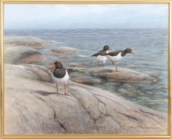 Rune Johansen | Strandskator | MutualArt