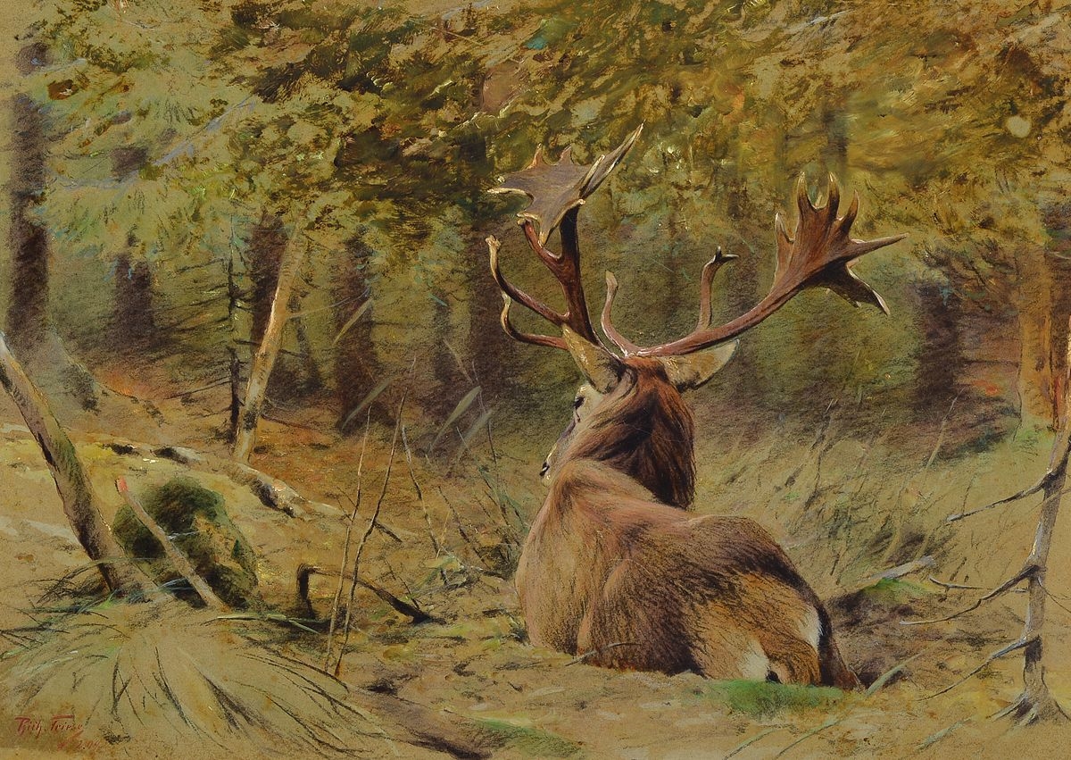 Richard Friese | Lying moose in forest | MutualArt
