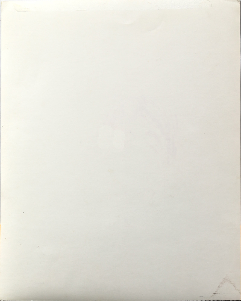 Josef Sudek | Glass Labyrinths | MutualArt